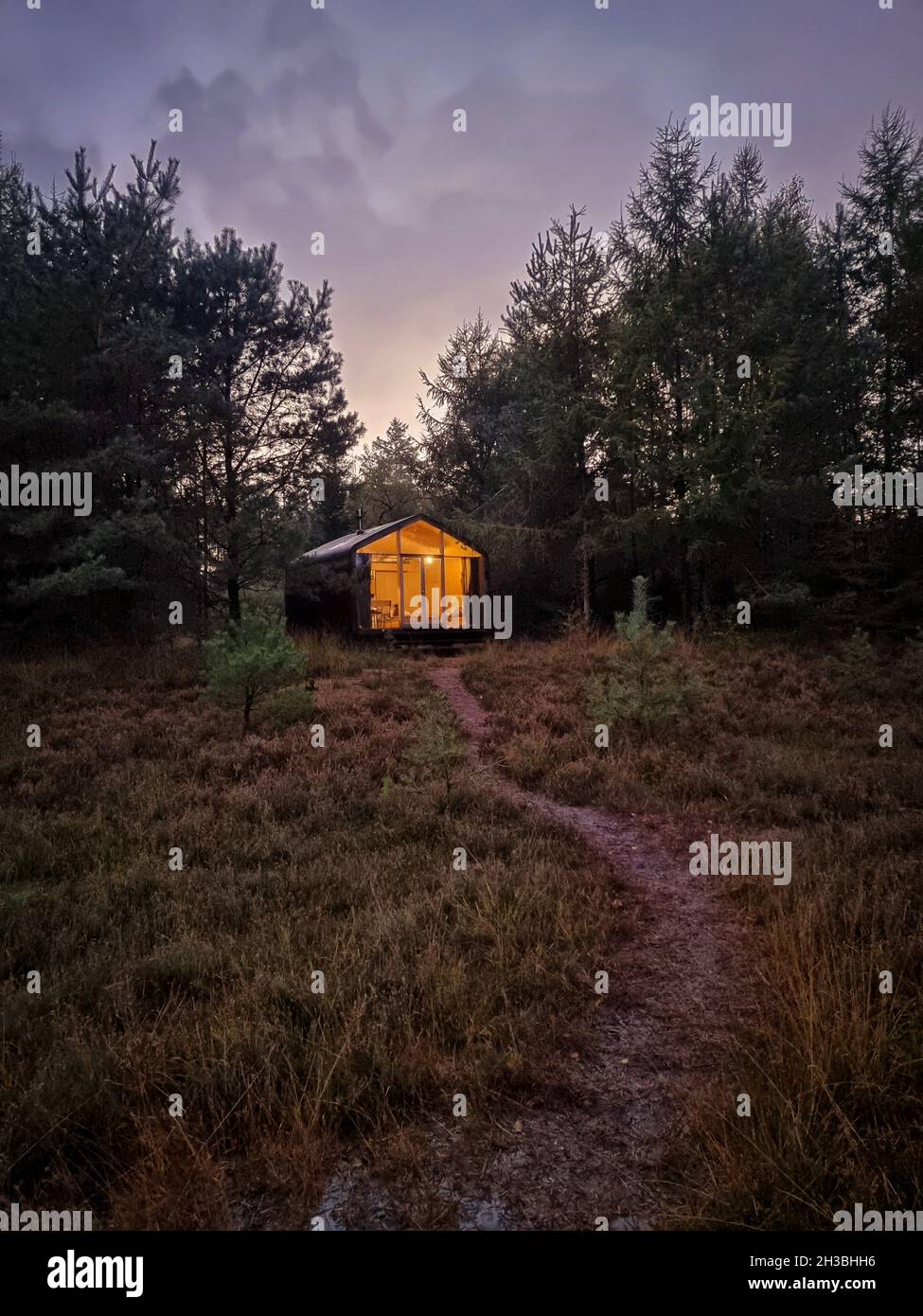 Wooden hut in an autumn forest in the Netherlands, cabin off grid ...
