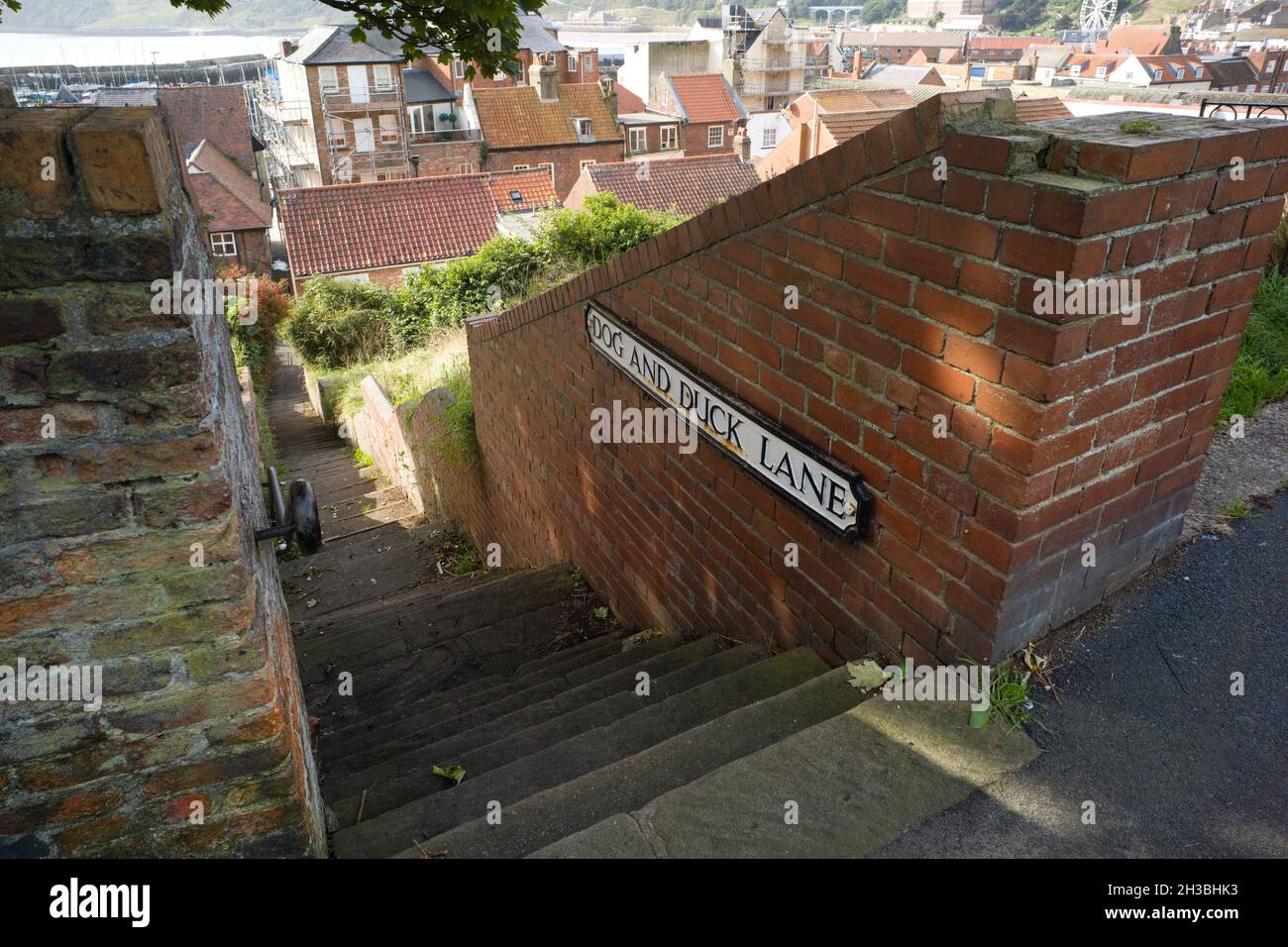 Dog and Duck Lane in the older part of Scarborough town Stock Photo - Alamy