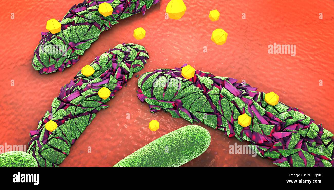 Destroy bacteria hi-res stock photography and images - Alamy