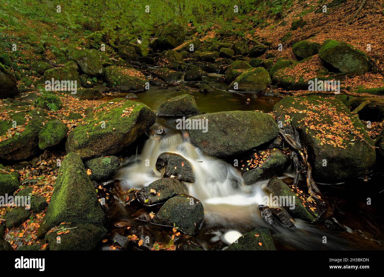 Cascading stream hi-res stock photography and images - Alamy