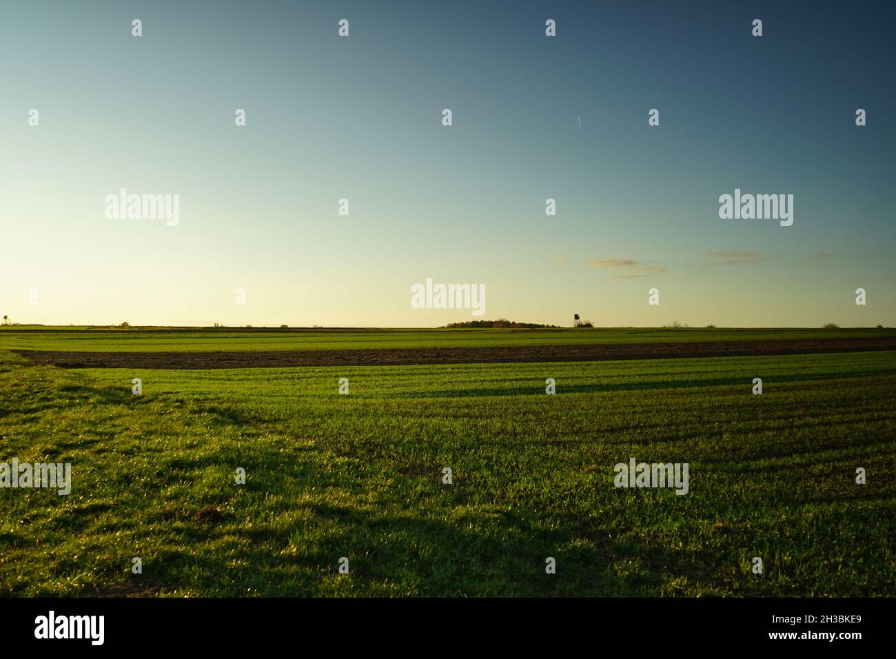 Blue sky with field hi-res stock photography and images - Alamy