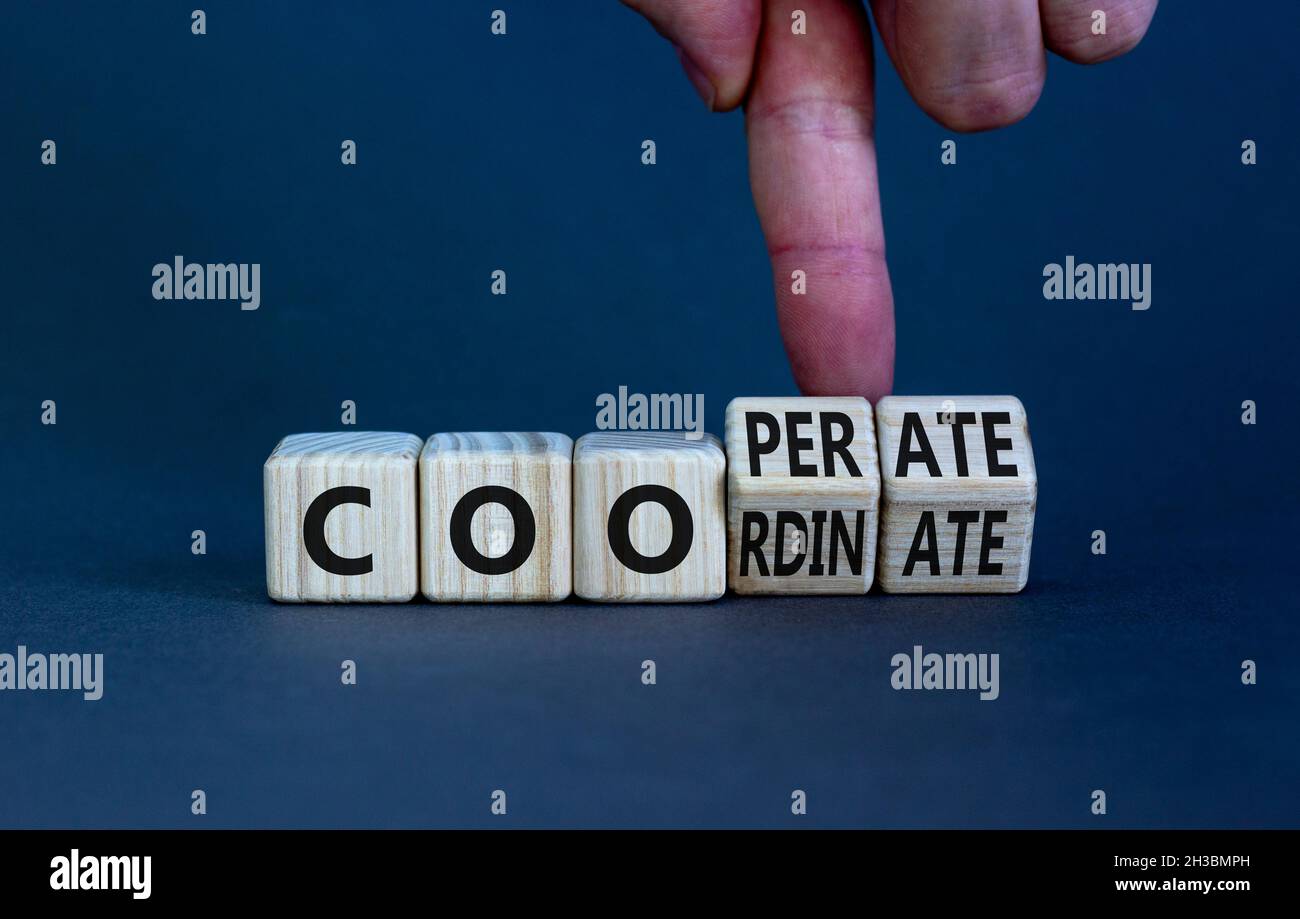 Coordinate and cooperate symbol. Businessman turns wooden cubes and ...