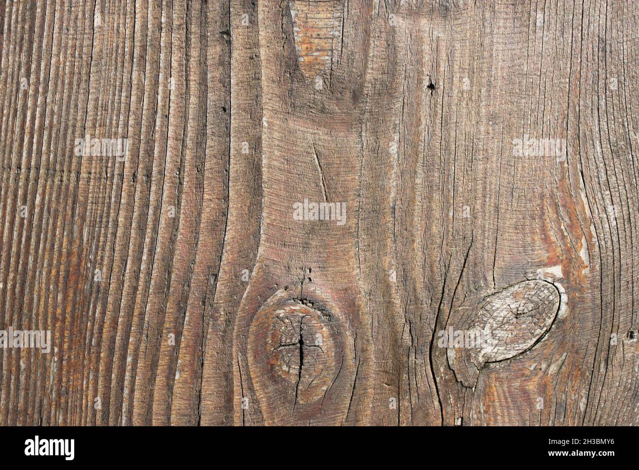 Rustic Wood Grain Texture
