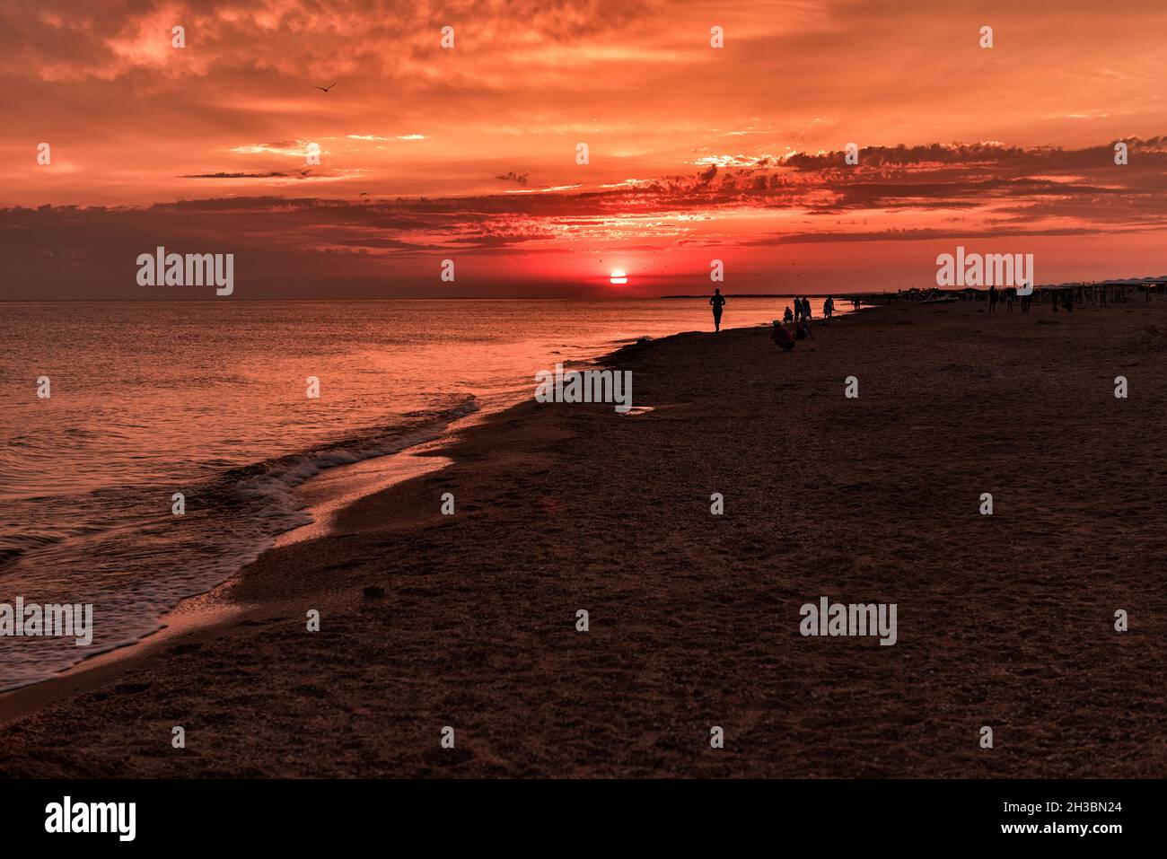 Beautiful evening dawn on the seashore Stock Photo - Alamy