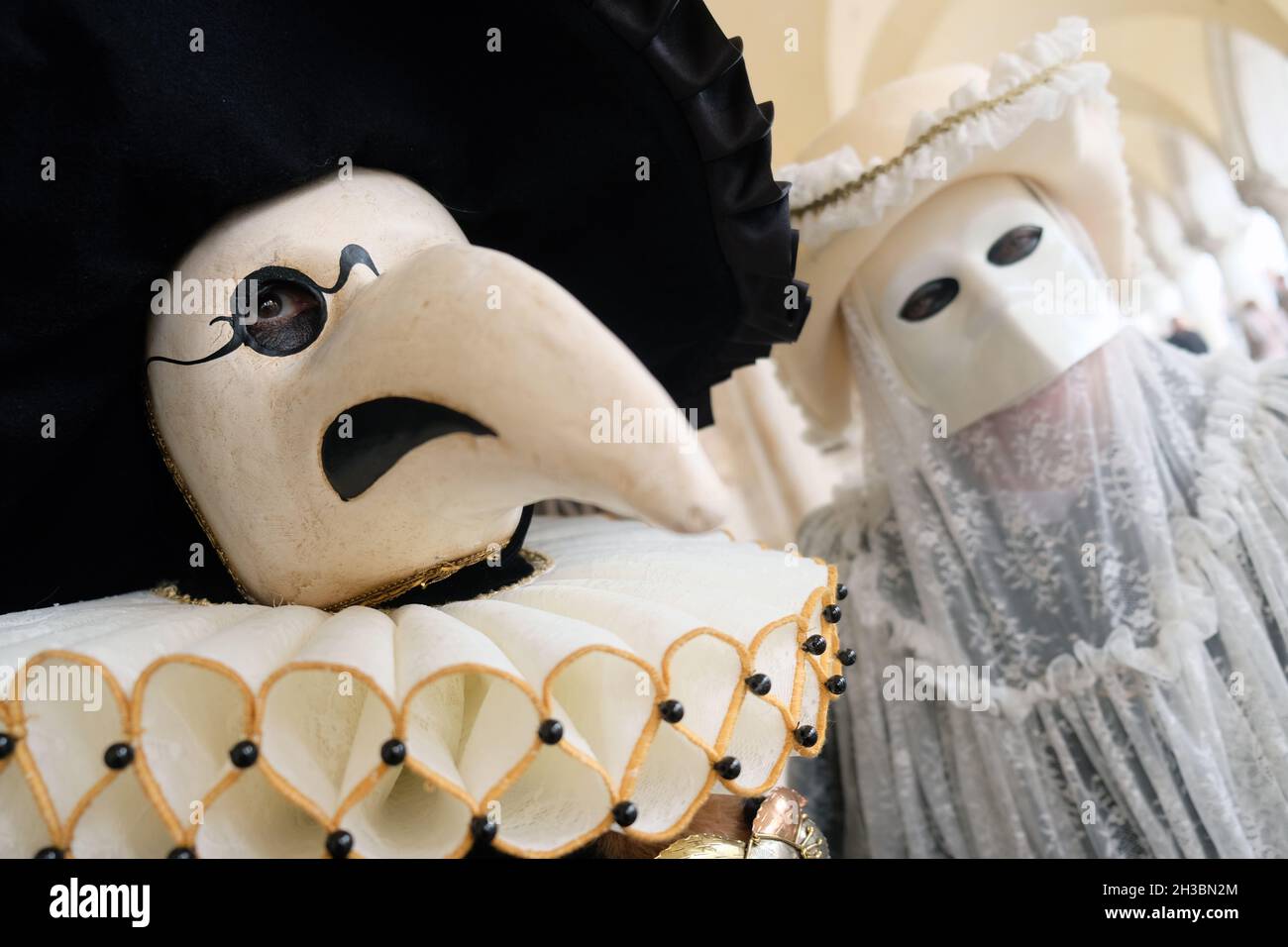 Masks pose for photographers during the Venice Carnival. Venice. Italy ...