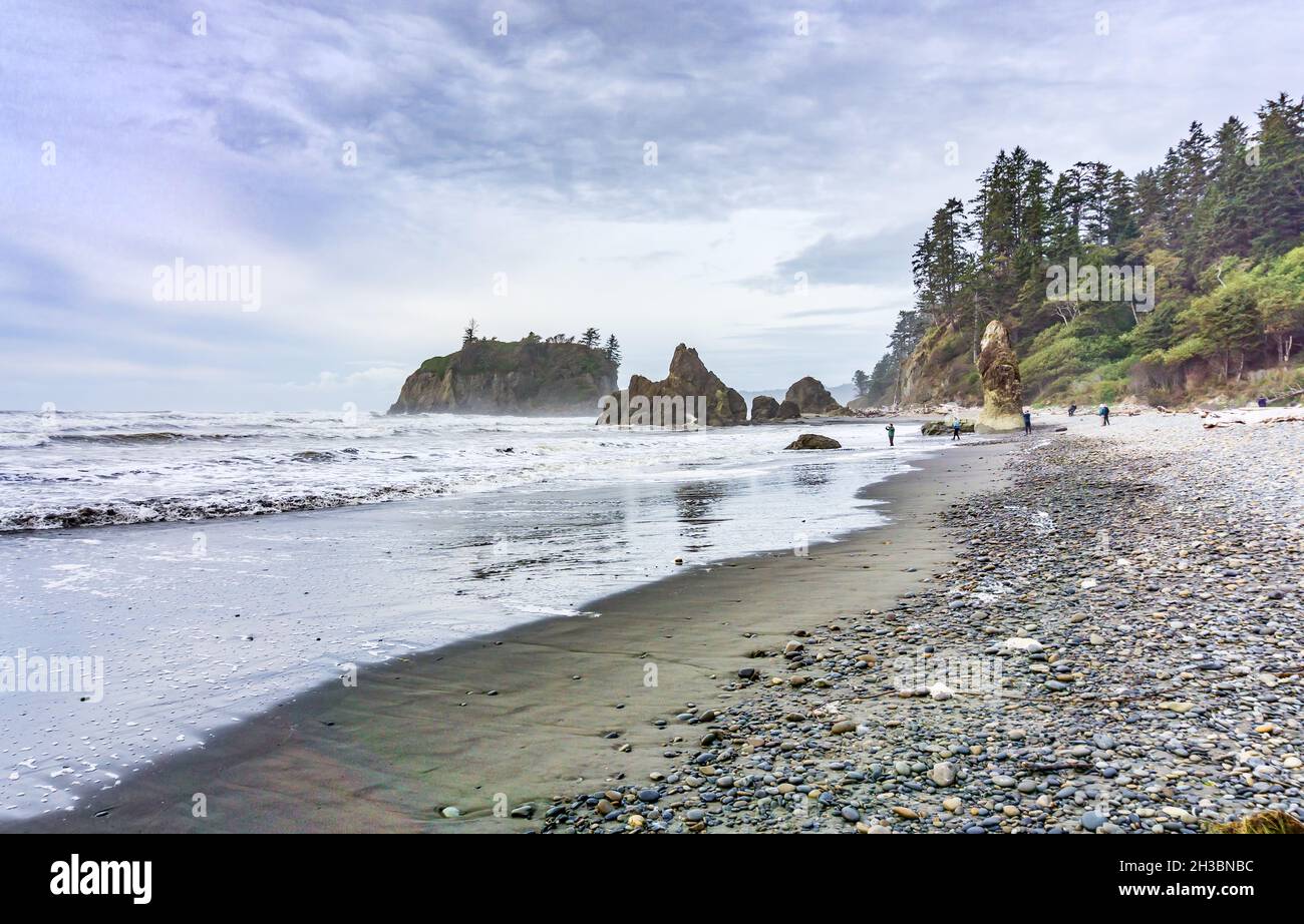 A panorama shot of Ruby Beach in Washington State Stock Photo - Alamy