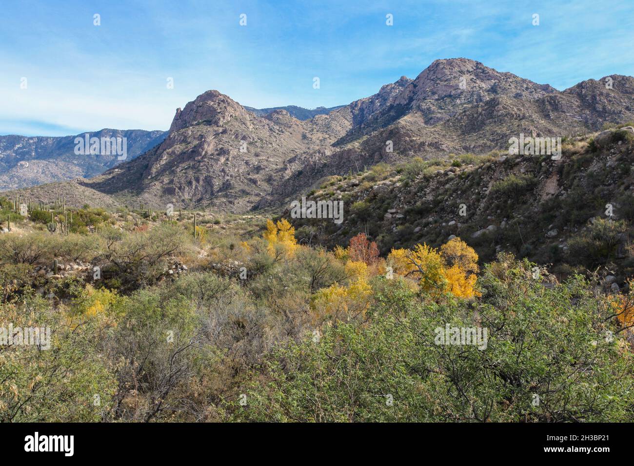 Hiking in Catalina State Park, Arizona.x Stock Photo - Alamy