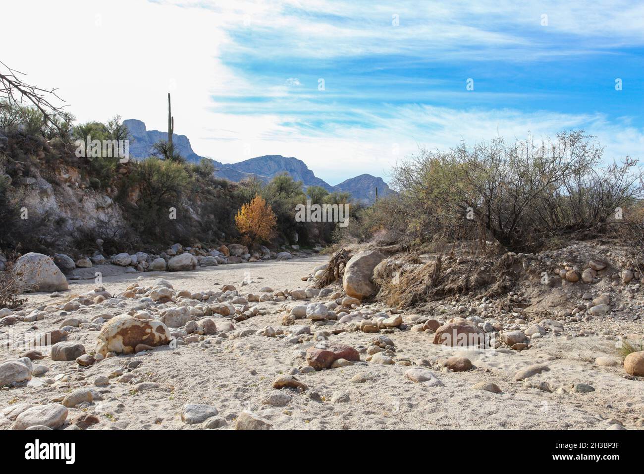 Hiking in Catalina State Park, Arizona.x Stock Photo - Alamy