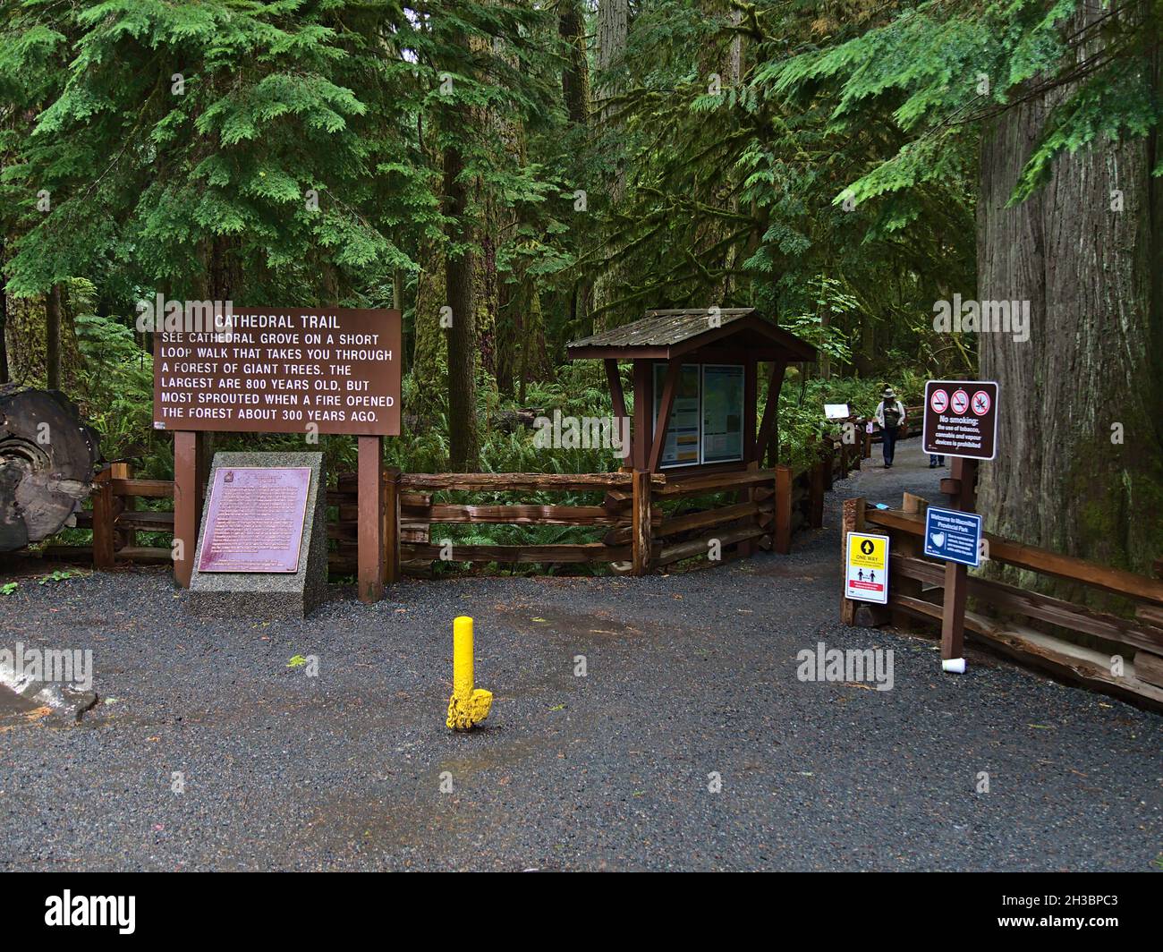 Information signs on the entrance of famous douglas fir forest ...
