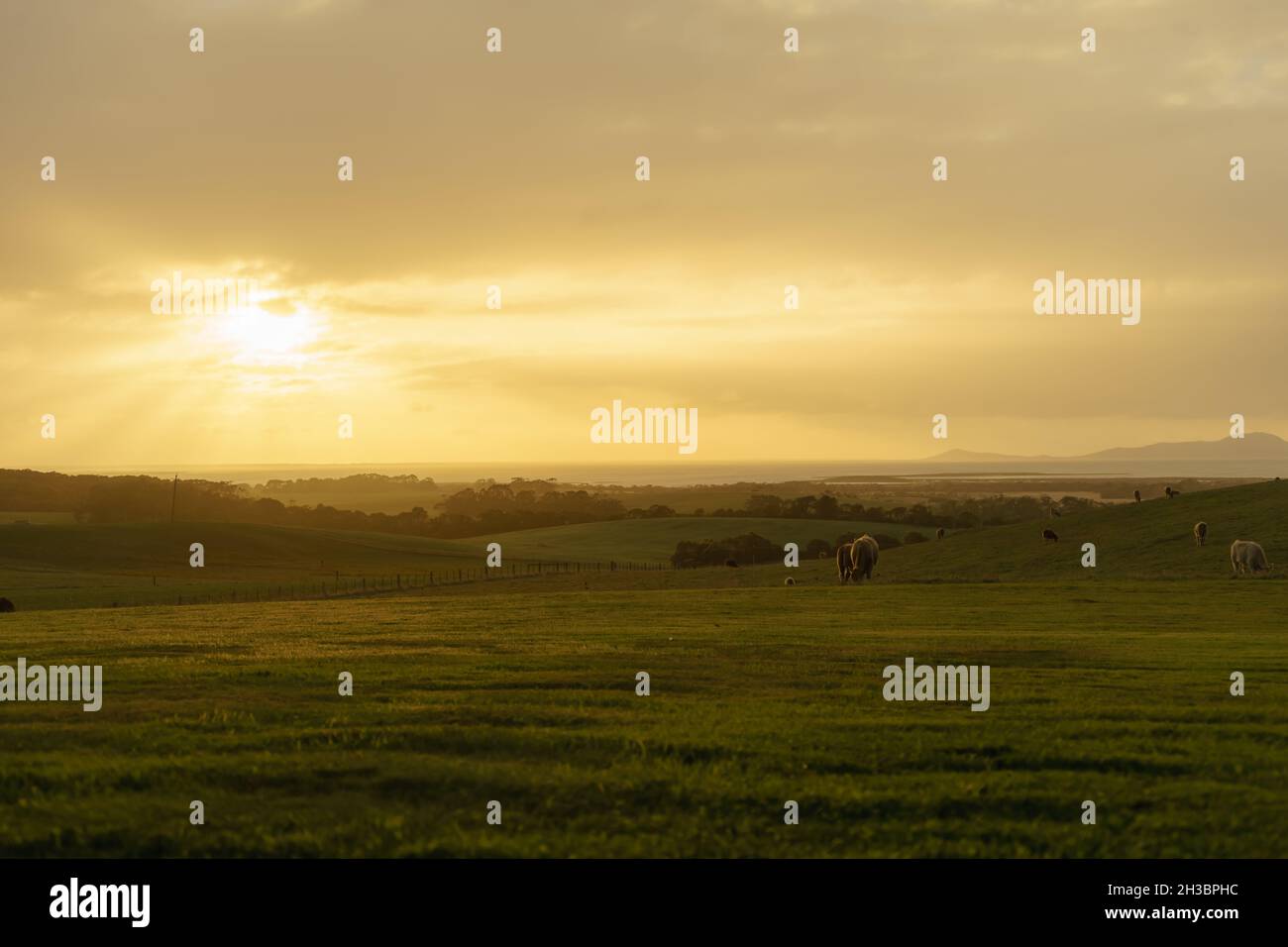 Australian landscape farm sunset hi-res stock photography and images ...