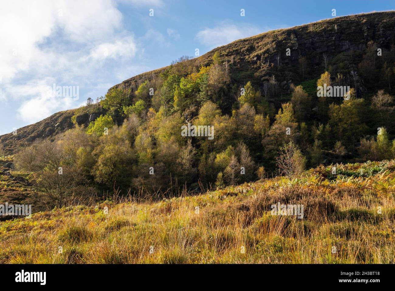 Black hill pennine way hi-res stock photography and images - Alamy