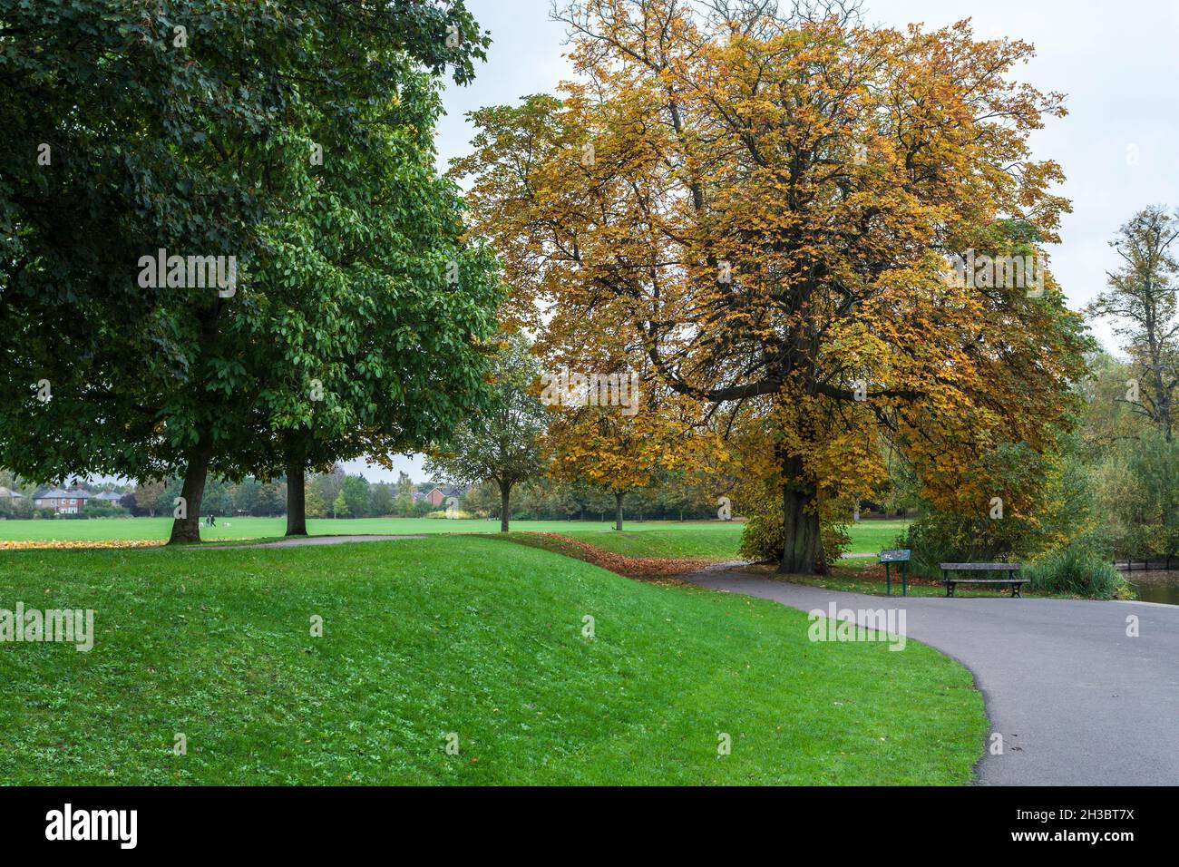 The trees showing their Autumn colours in the South Park, Darlington ...