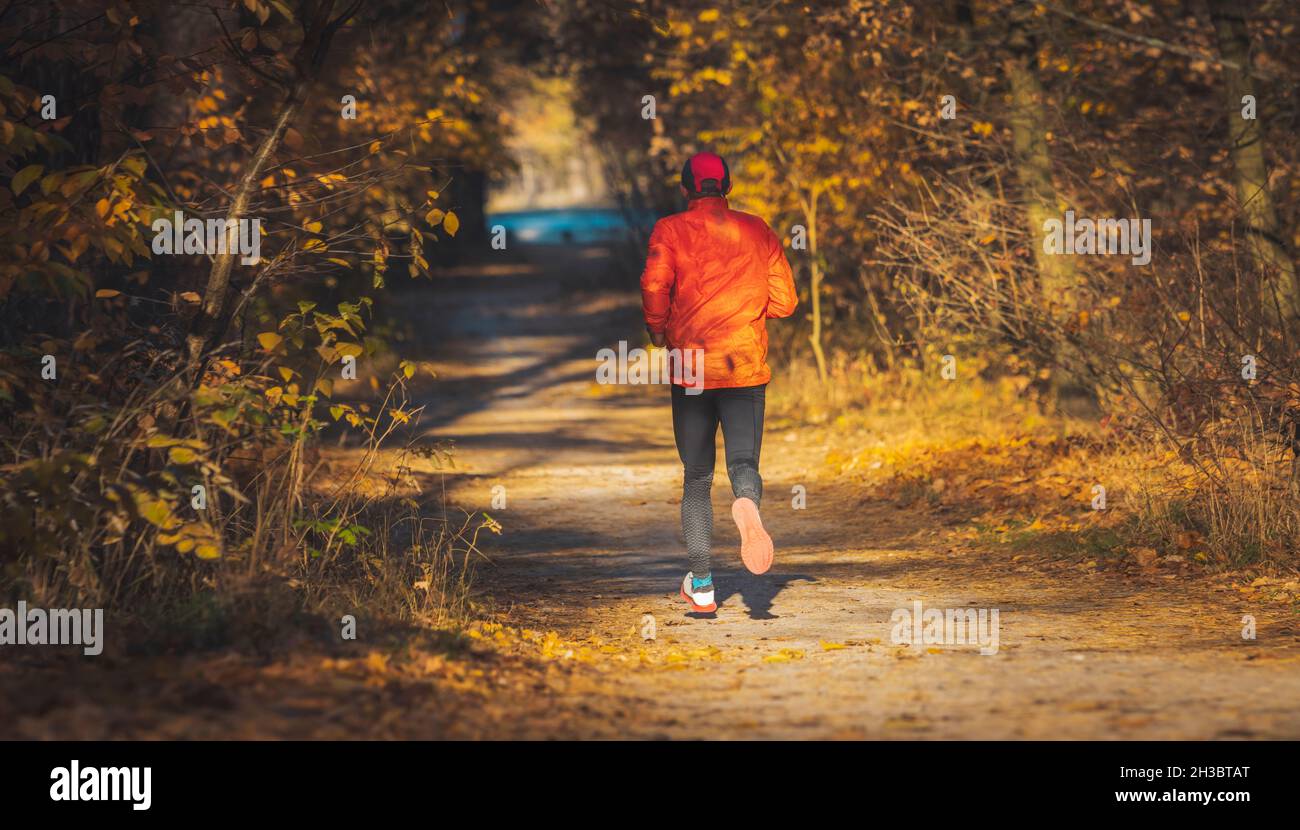 Exercise forest light hi-res stock photography and images - Alamy
