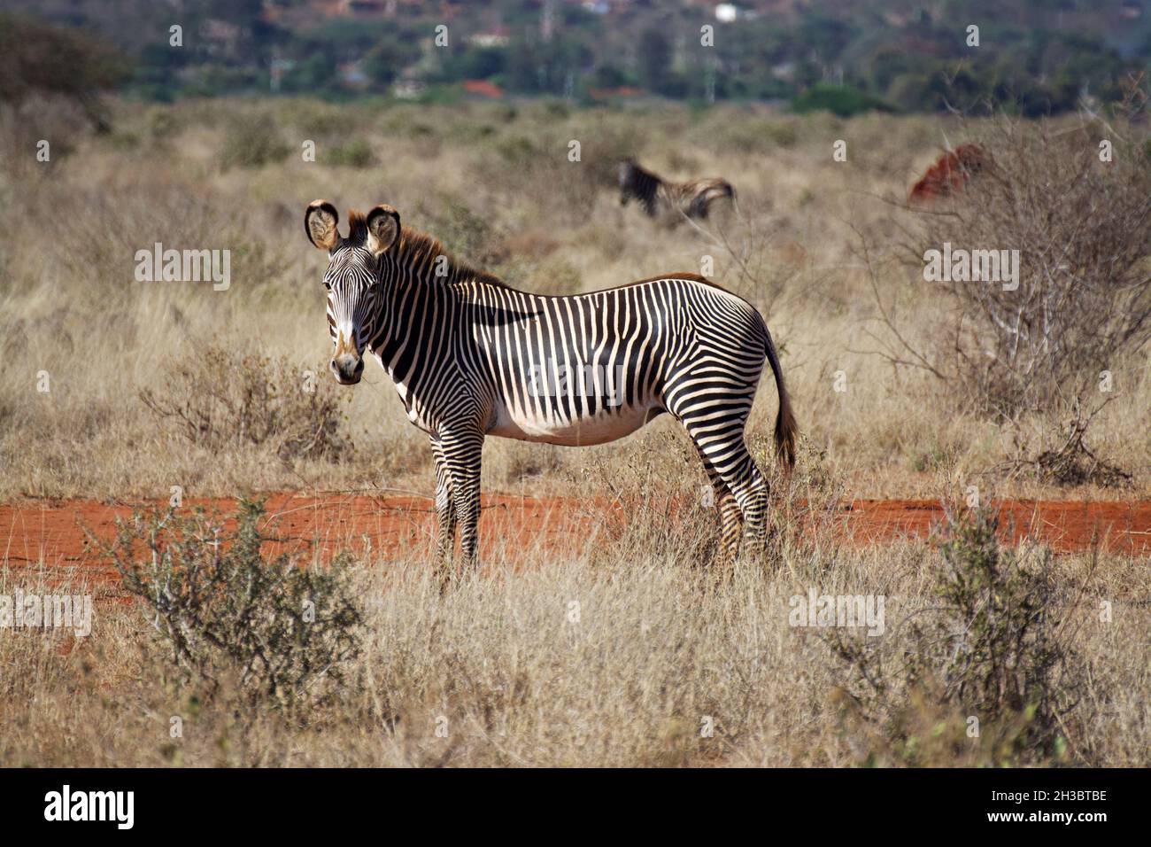 Africatravel hi-res stock photography and images - Alamy