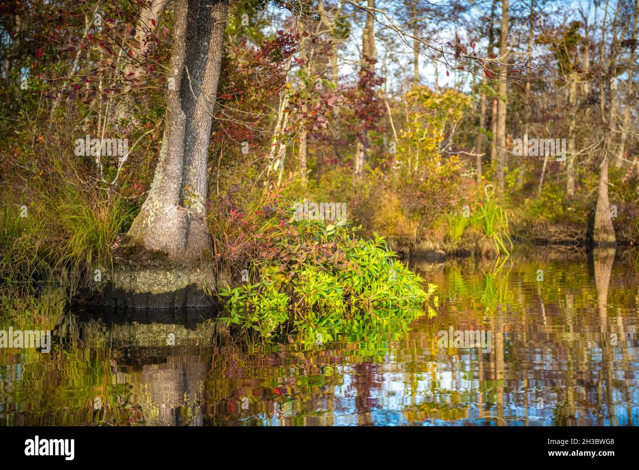 Eastern Shore Maryland Stock Photo - Alamy