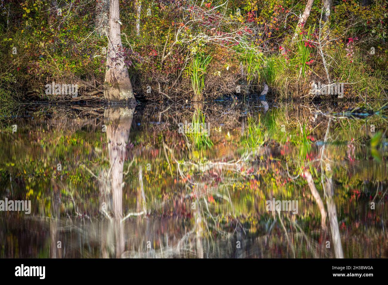 Chicamacomico river hi-res stock photography and images - Alamy