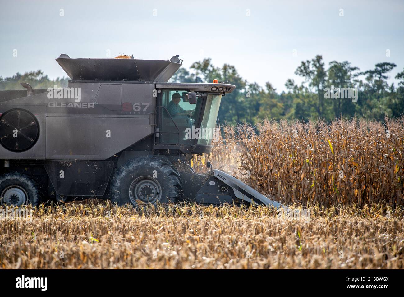 Harvest finish hi-res stock photography and images - Alamy