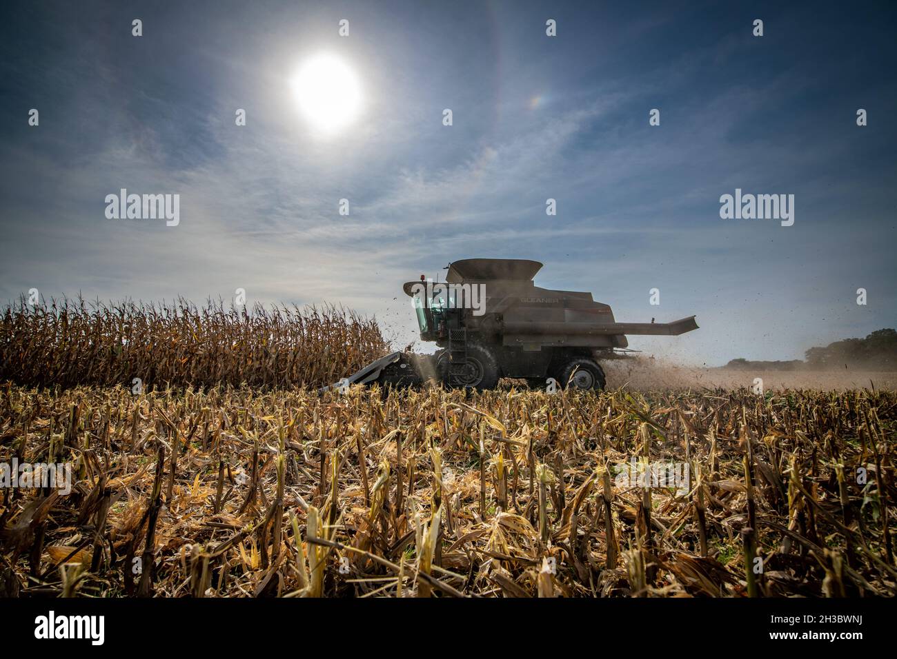 Harvest finish hi-res stock photography and images - Alamy