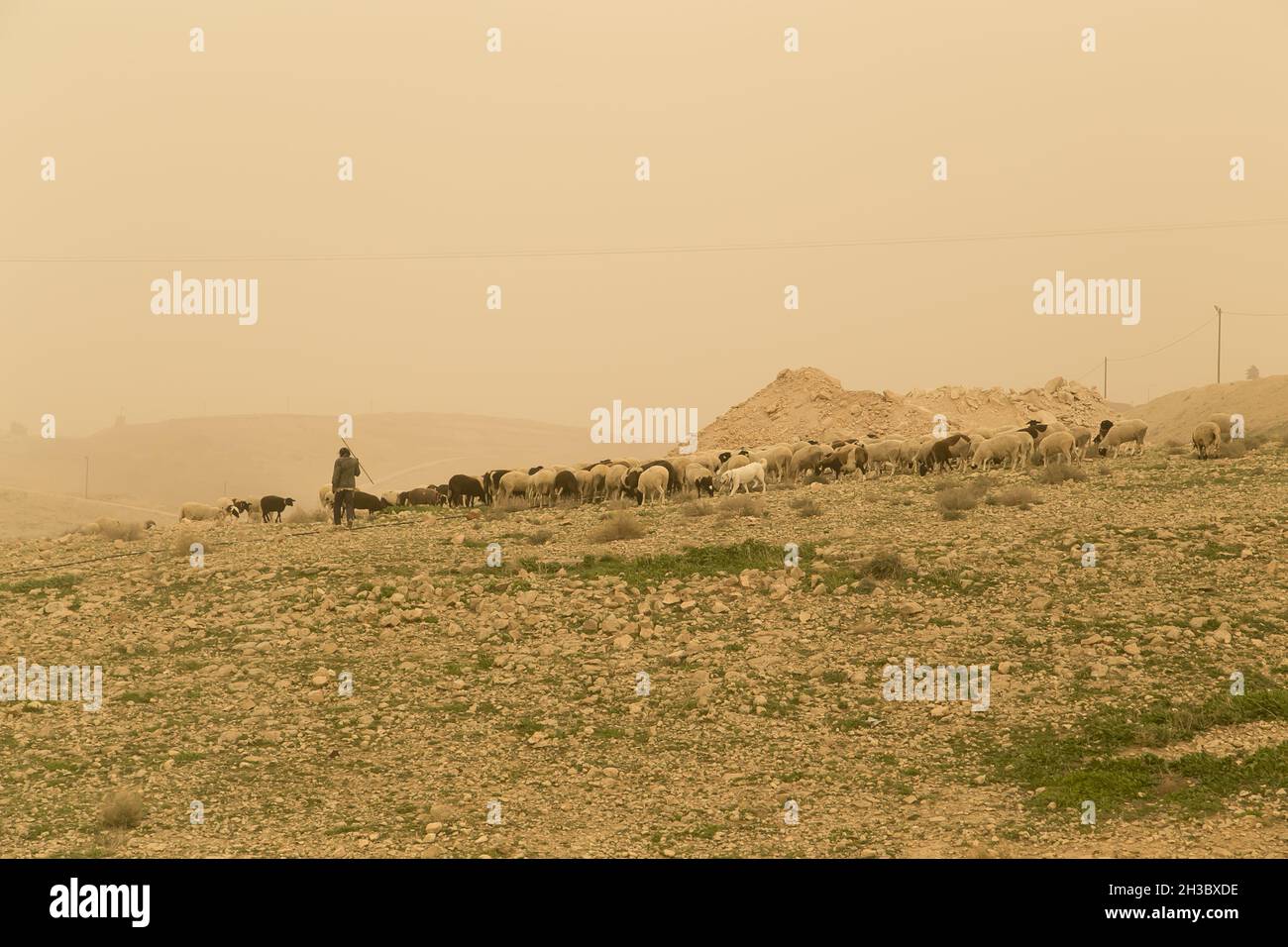 Landscape during sandstorm in the Israel and Palestine desert, with ...