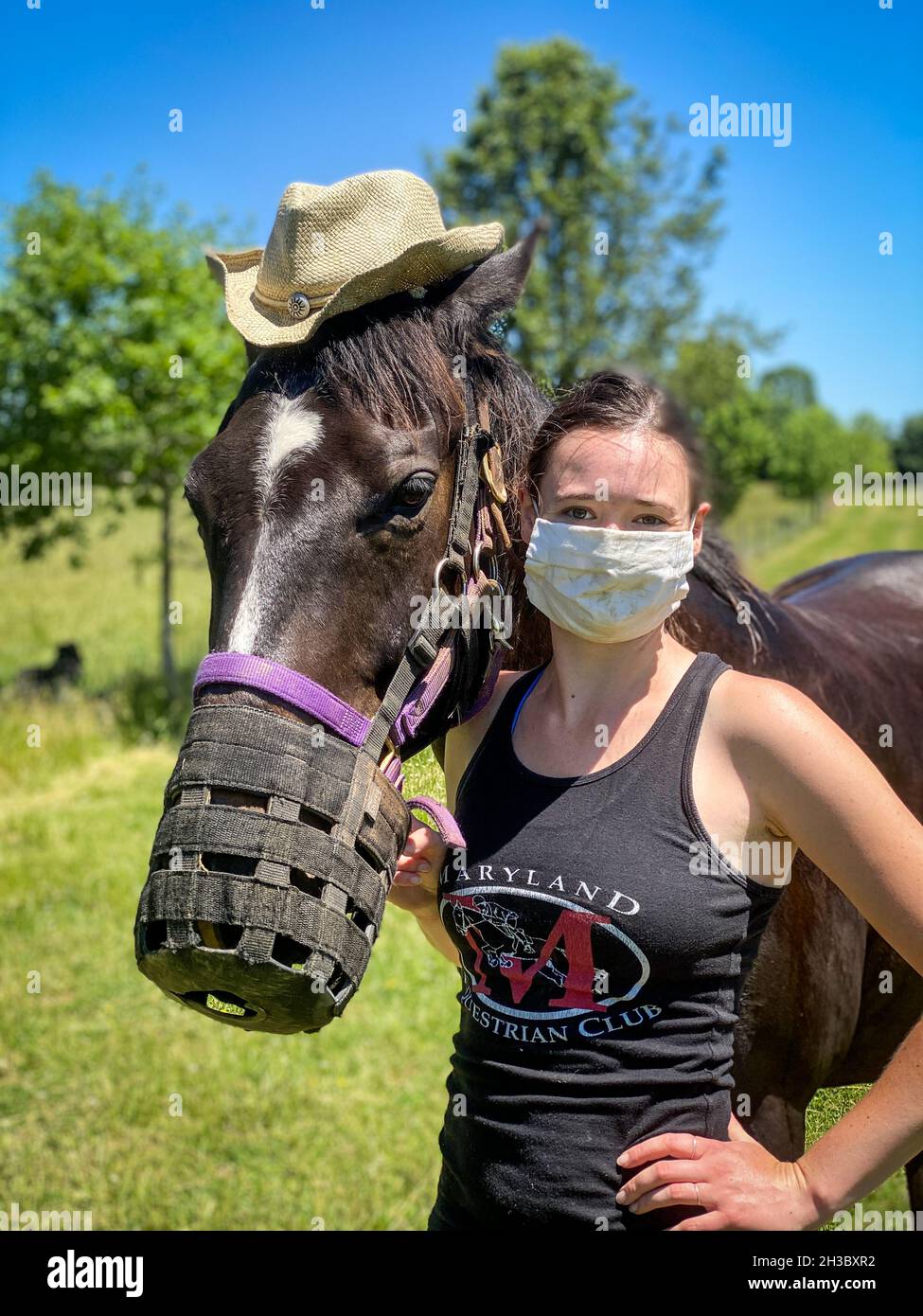 Mask wearing rider and horse Stock Photo - Alamy