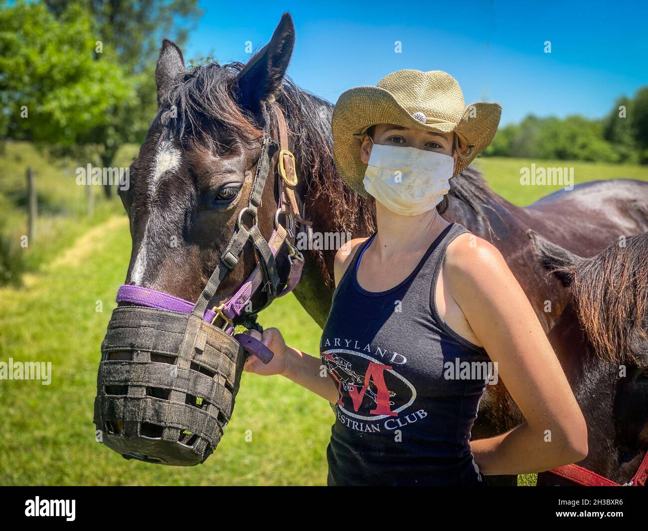 Mask wearing rider and horse Stock Photo - Alamy