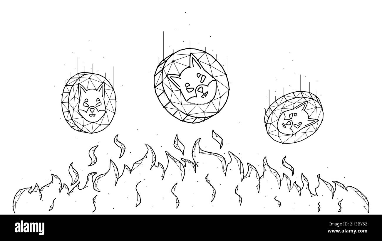 Polygonal vector illustration of burning Shiba inu. Shiba inu coins ...