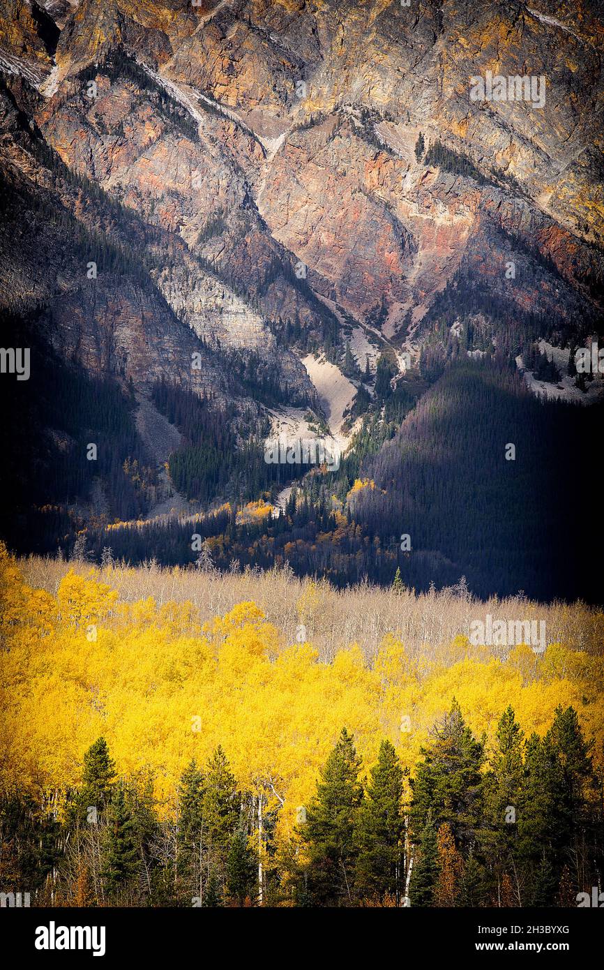 Canadian Rockies Landscape, Canada VII Stock Photo - Alamy