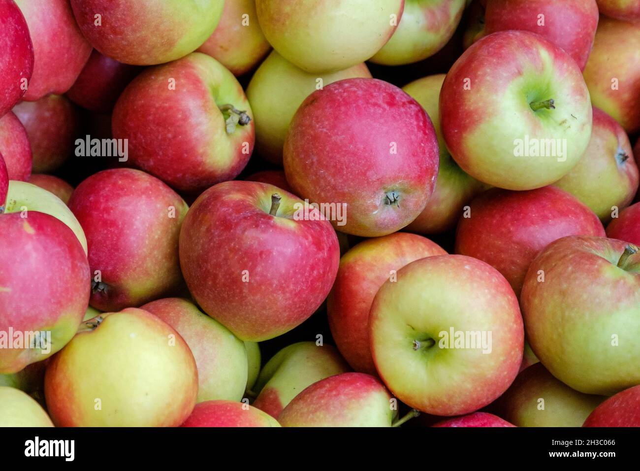 Closeup shot of a bunch of apples on top of each other Stock Photo - Alamy