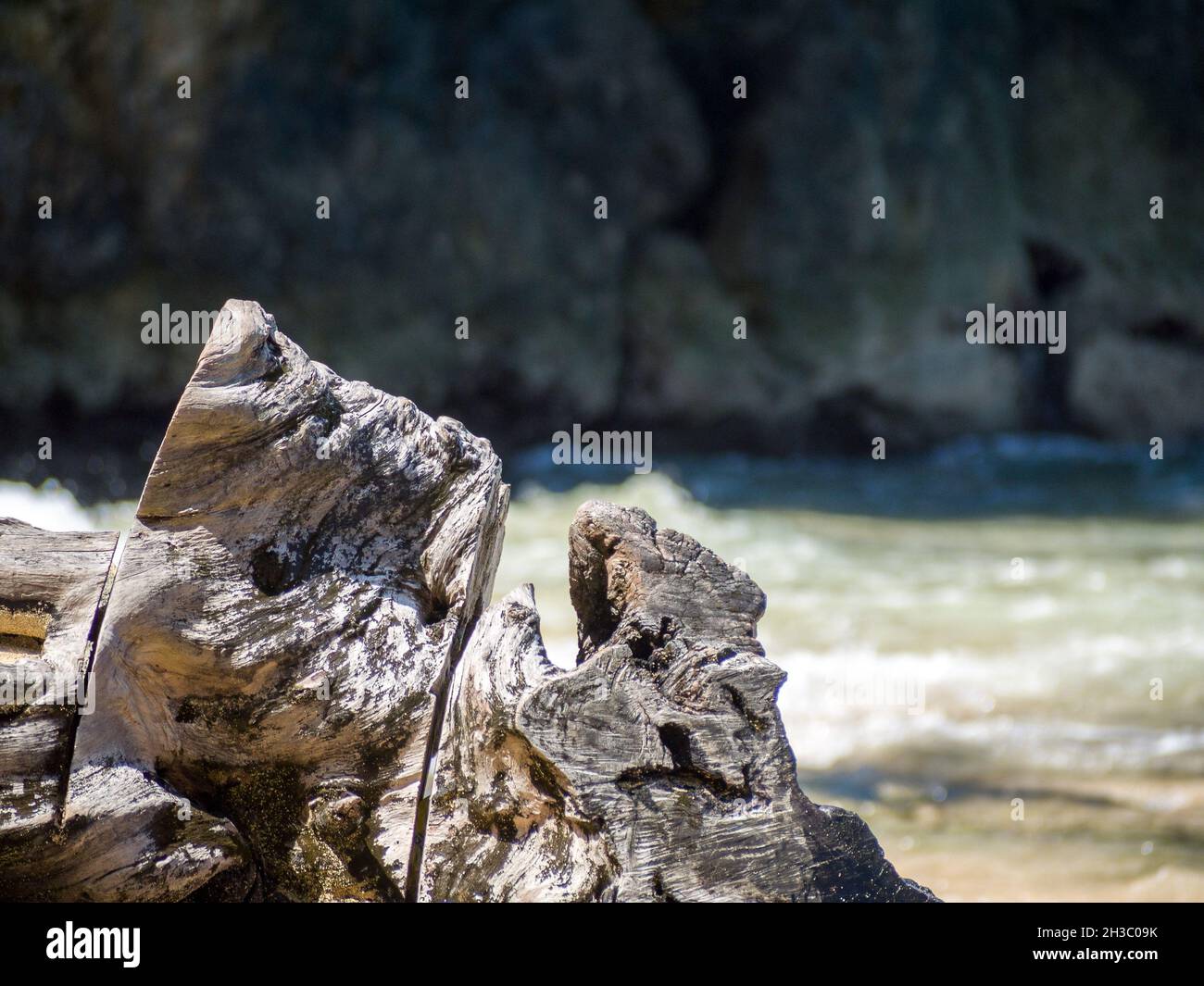 Closeup of seaside rock in the blurred natural background Stock Photo ...