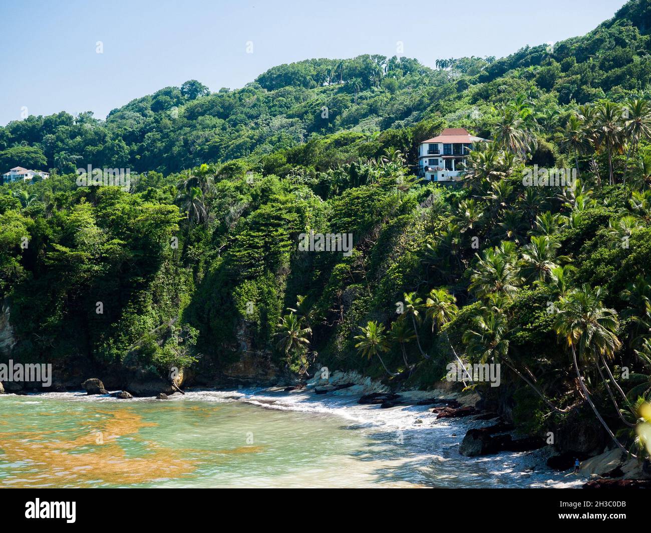 Scenic shoreline of the sea with lush tropical vegetation Stock Photo ...