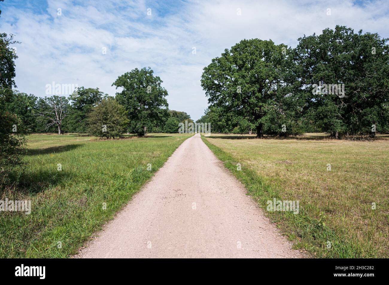 Empty pathway in the middle of the park Stock Photo - Alamy