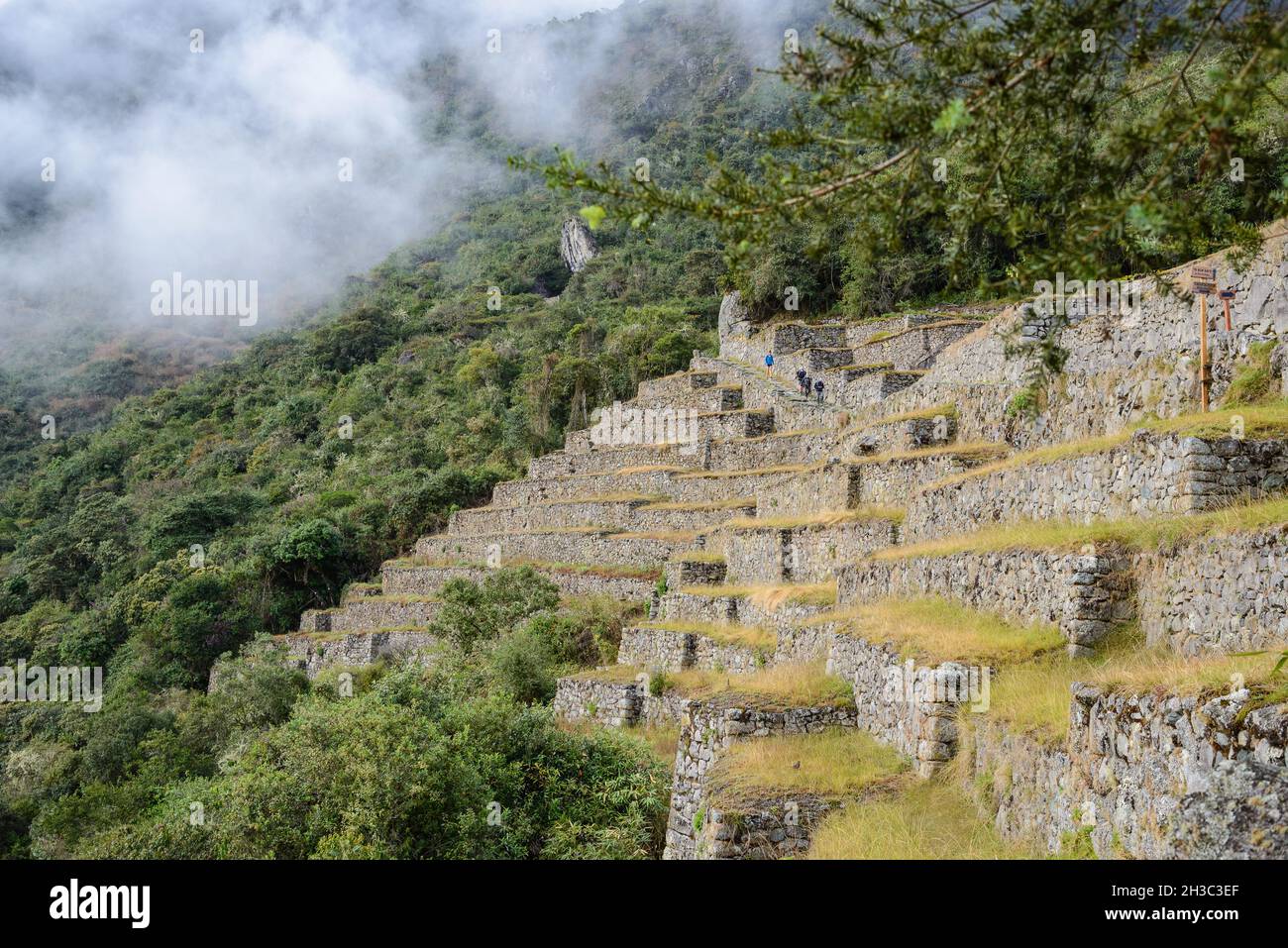 Stone walled terraces at Machu Picchu, Cuzco, Peru Stock Photo - Alamy