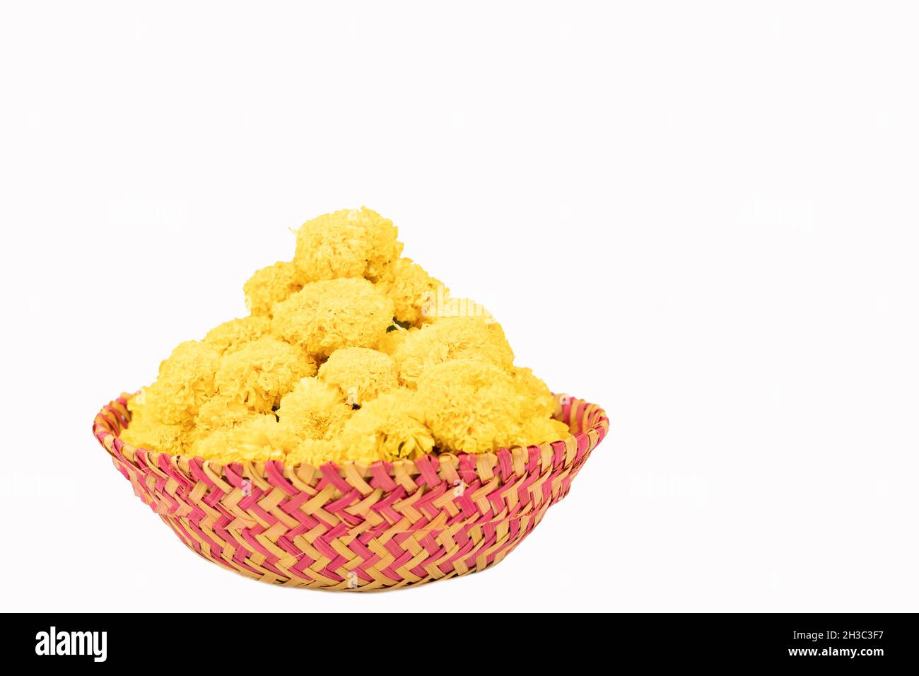 Gende ka phool hi-res stock photography and images - Alamy