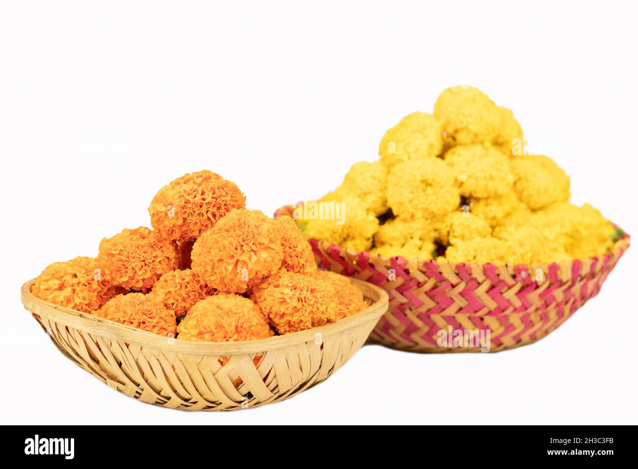 Gende ka phool hi-res stock photography and images - Alamy