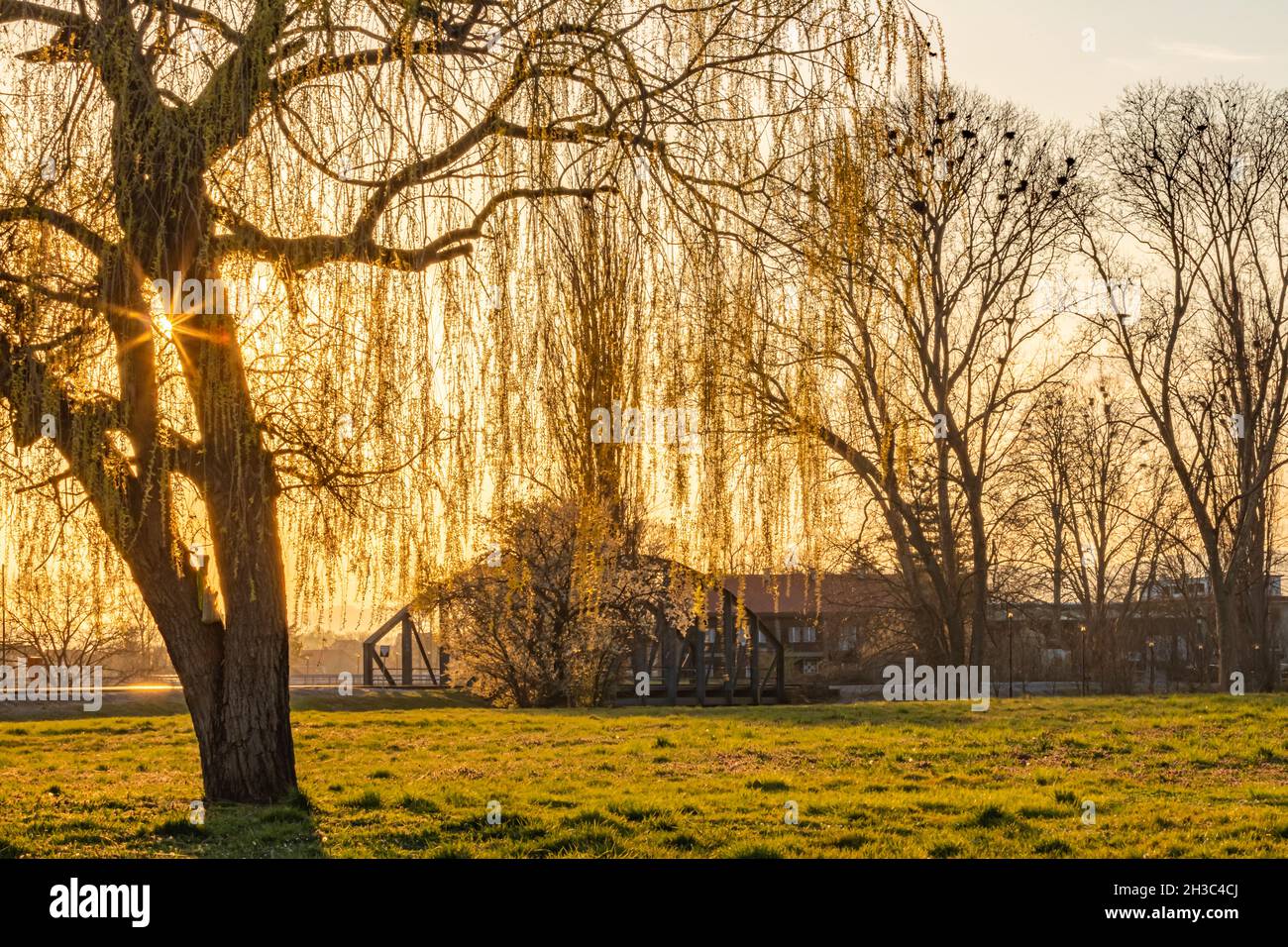 Old rusty truss bridge over the Orljava river Stock Photo - Alamy