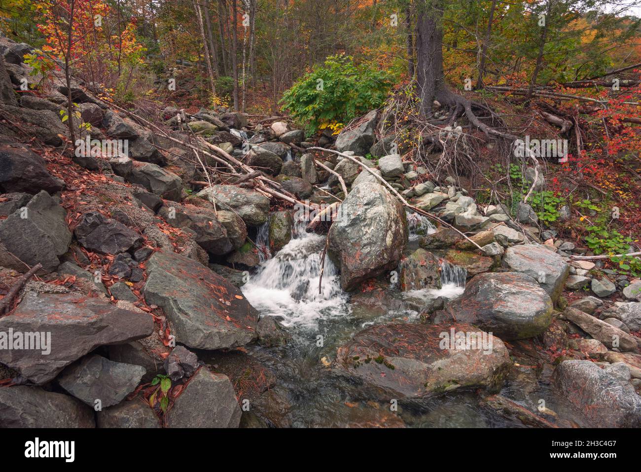 stream in the forest with waterfall over rocks during autumn with fall ...