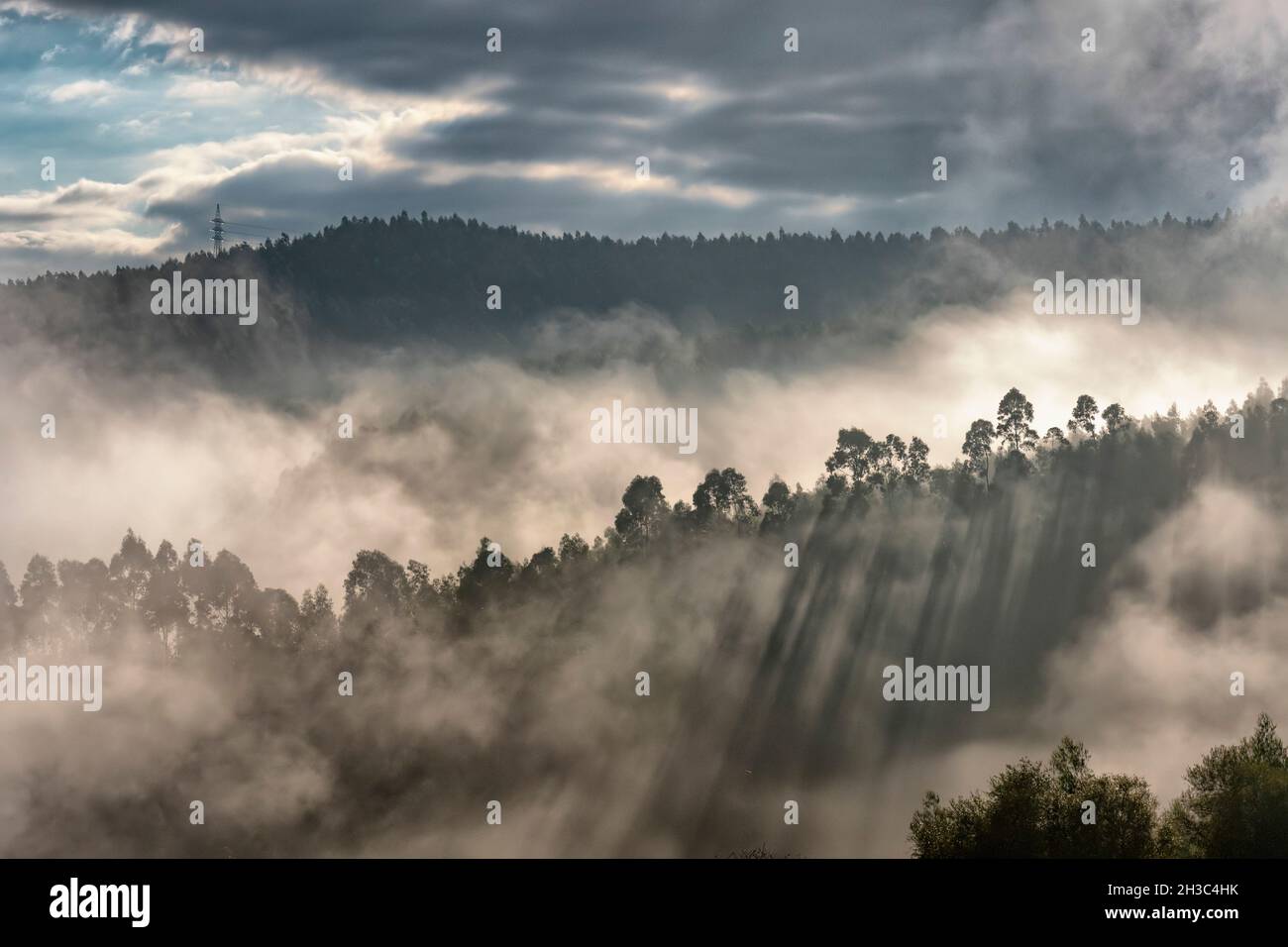 Aguera hi-res stock photography and images - Alamy