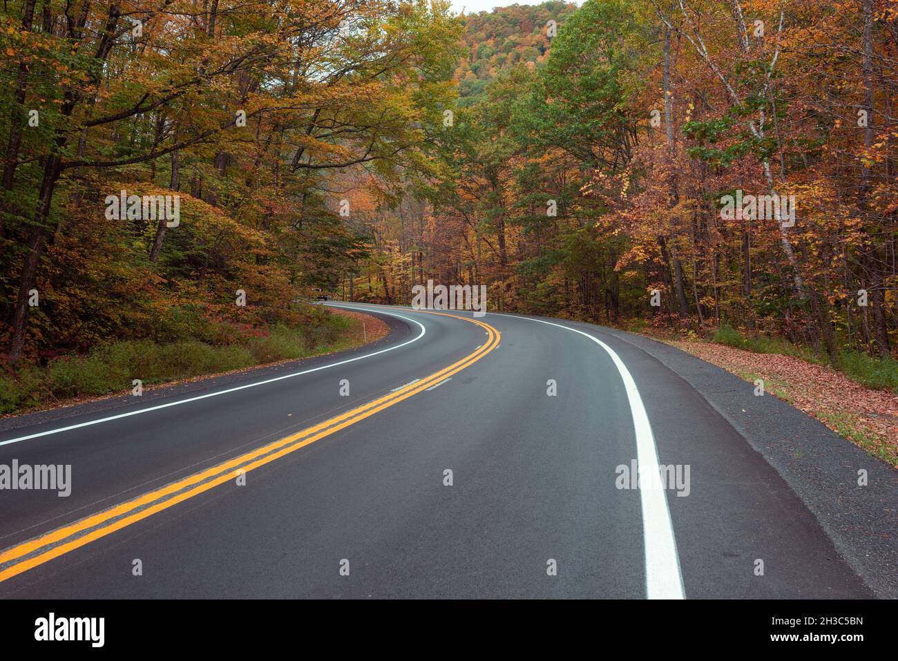 winding highway road through forest in autumn with fall foliage in ...