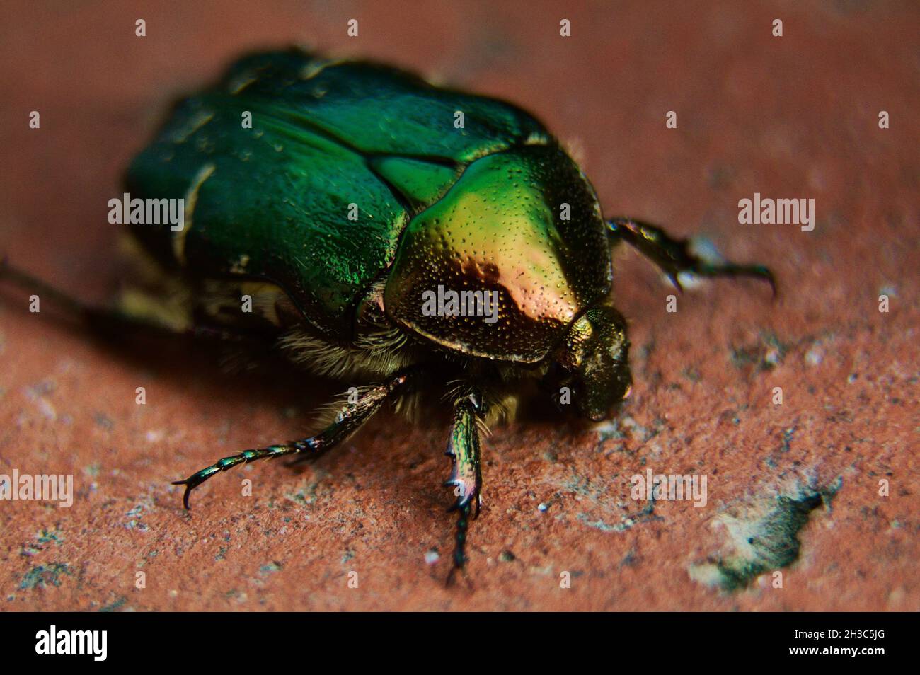Stone rests hi-res stock photography and images - Alamy