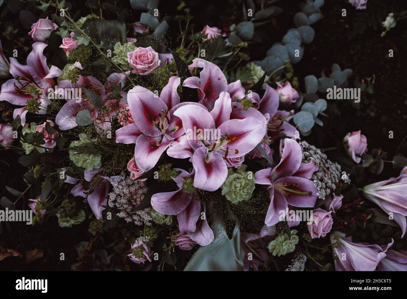 Lily dalian flowers hi-res stock photography and images - Alamy