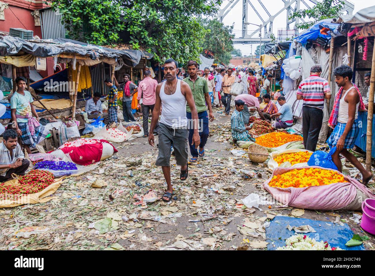 KOLKATA, INDIA - OCTOBER 31, 2016: View of Mullik Ghat Flower Market in ... KOLKATA, INDIA - OCTOBER 31, 2016: View of Mullik Ghat Flower Market in ...