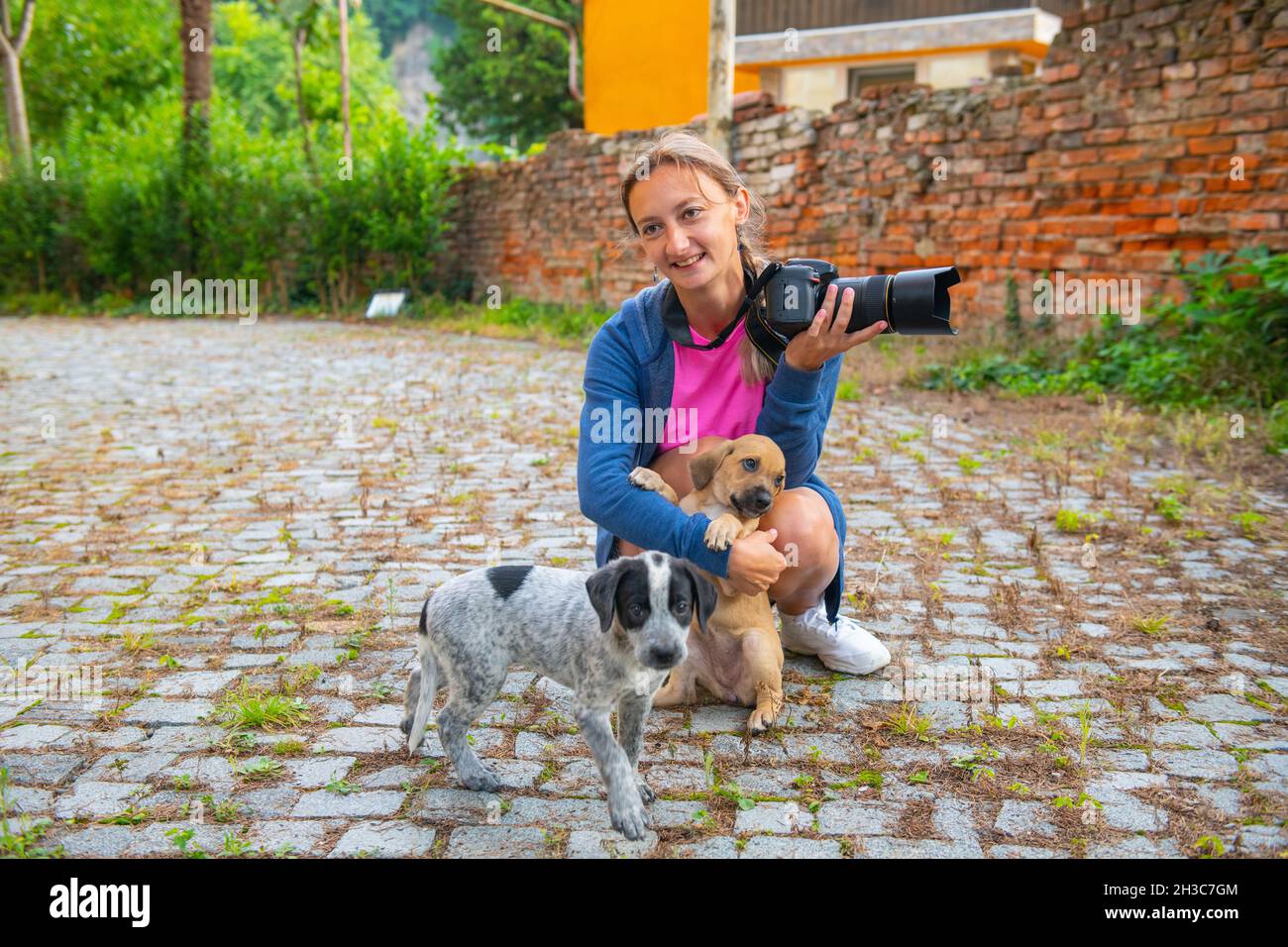 Pounced hi-res stock photography and images - Alamy