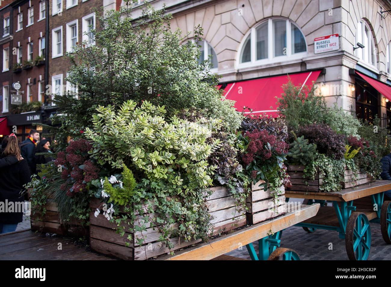 London, UK - 20 November 2020, Flora filled cart, advertising London's ...