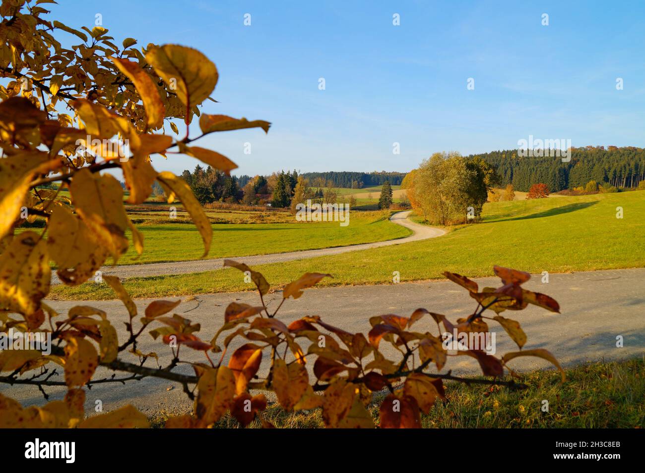 German countryside hi-res stock photography and images - Alamy