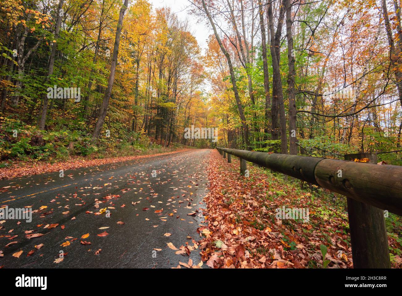 winding road with curves going through forest in autumn with fall ...