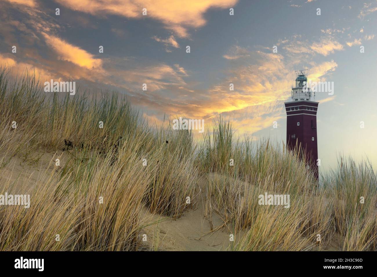 Bad grasses hi-res stock photography and images - Alamy