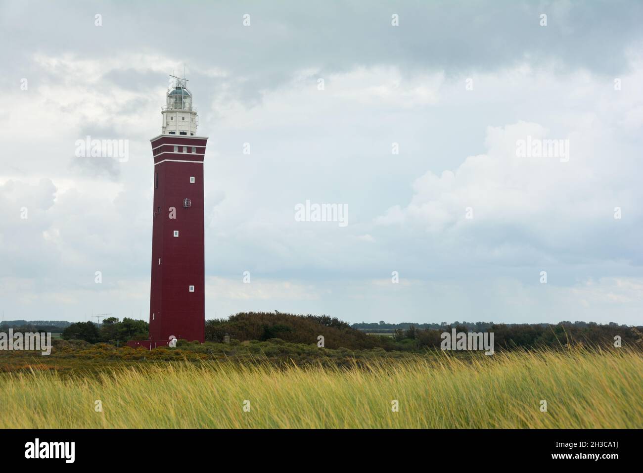 Beach grass in the foreground and the 56 meter high angular "West Head ...