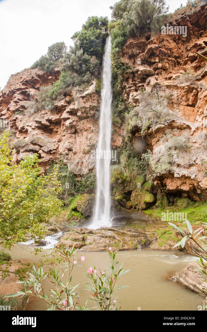 Salto in alto hi-res stock photography and images - Alamy