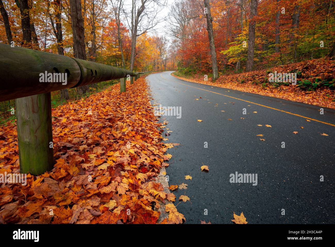 winding road with curves going through forest in autumn with fall ...