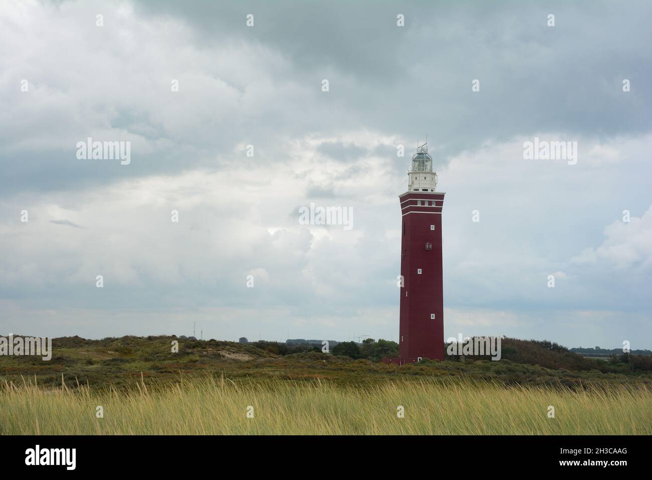 Cop story hi-res stock photography and images - Alamy